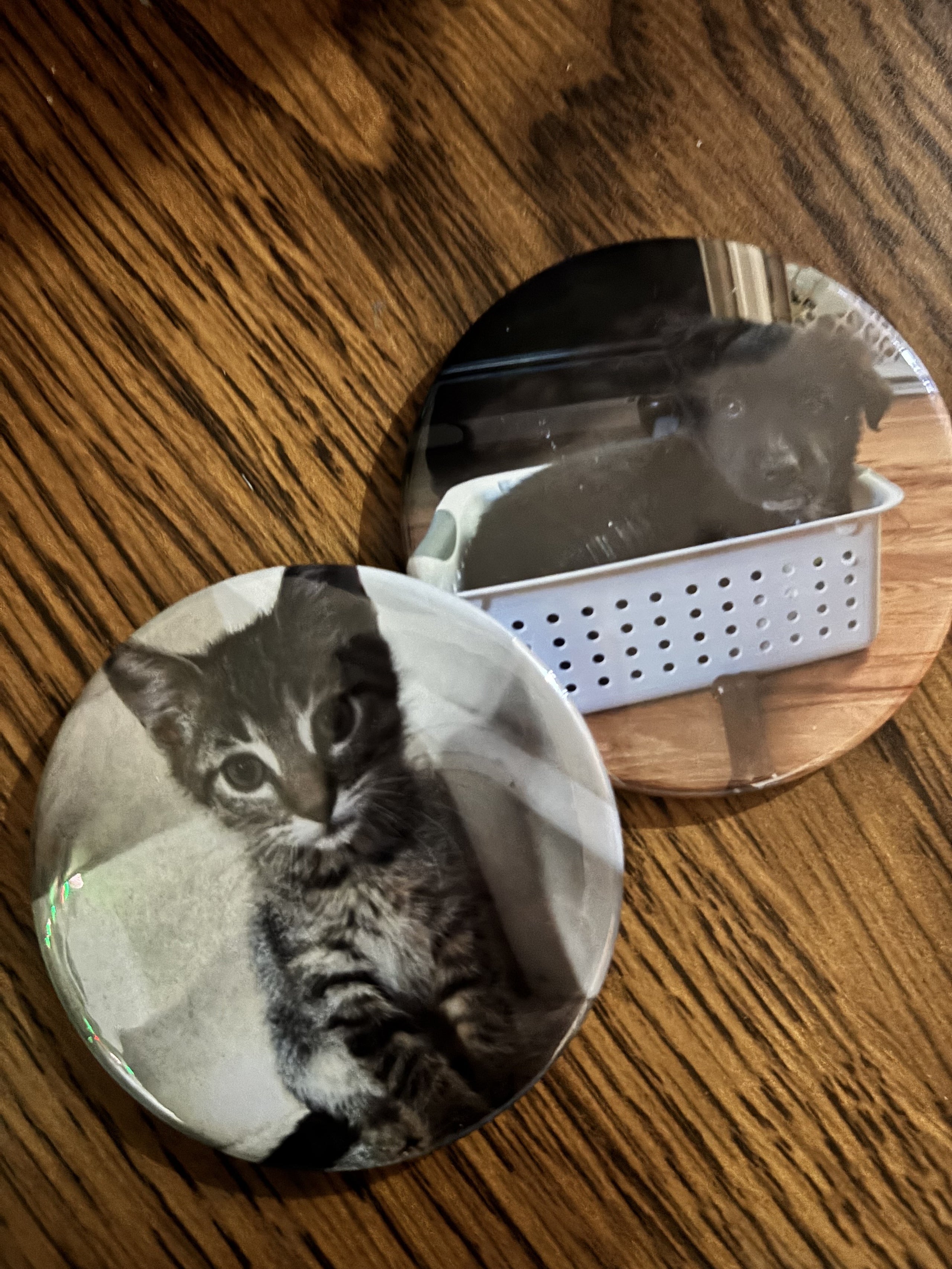 Custom Photo Magnets – Lady Shutterbug Photo Magnets